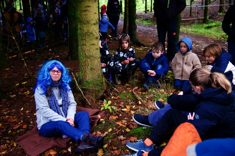 La Roche-en-Ardenne | Galeries